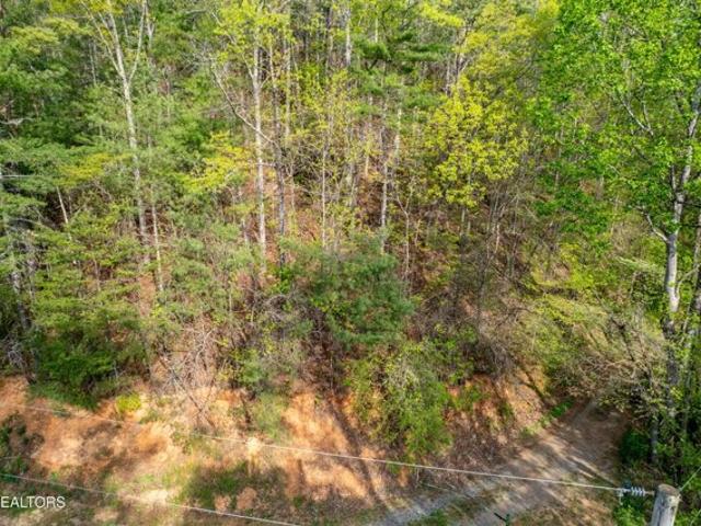 Mt Luke Rd, Townsend, Plot For Sale