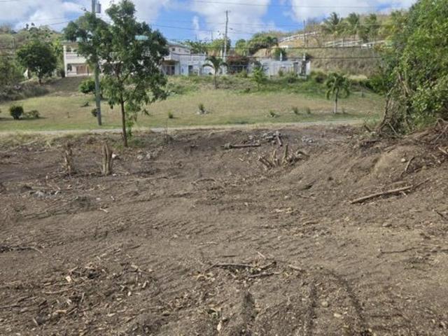 Mt Pleasant Ea, Saint Croix, Plot For Sale