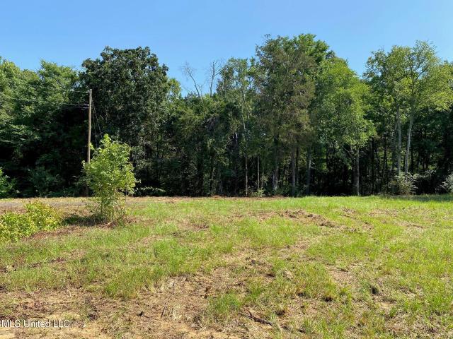 Mt Pleasant Road, Byhalia, MS 38611