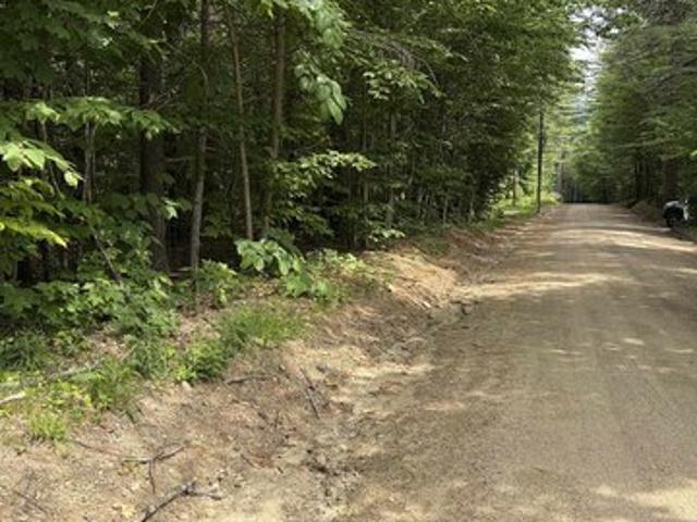 MT Surprise Rd, Bartlett, NH 03812