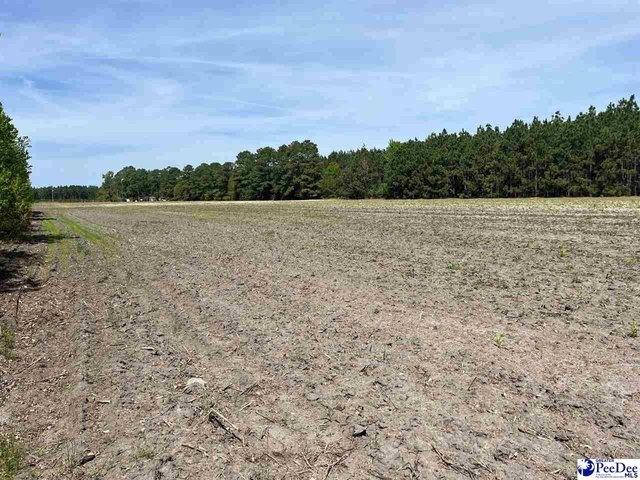 Mta 4 Heustess Rd, Dillon, SC 29567