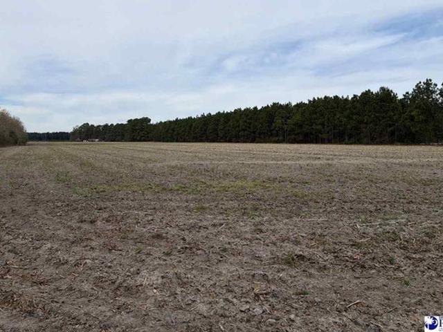 Mta 5 Heustess Rd, Dillon, SC 29567