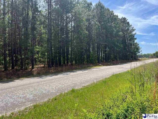 Mta 6 Heustess Rd, Dillon, SC 29567