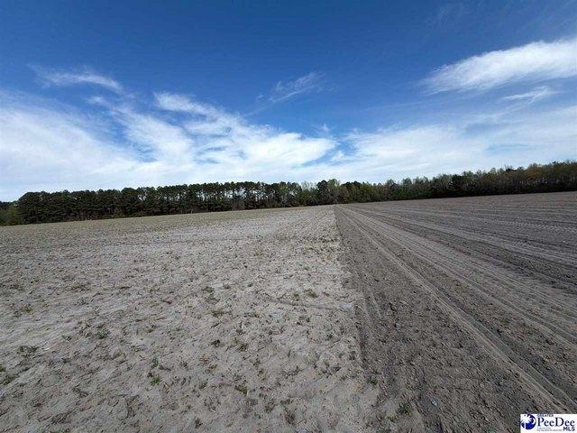 Mta 9 Heustess Rd, Dillon, SC 29567