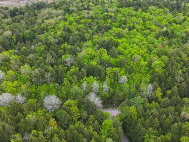 Mu L Timber Bay Shores Rd, Lovell, Plot For Sale