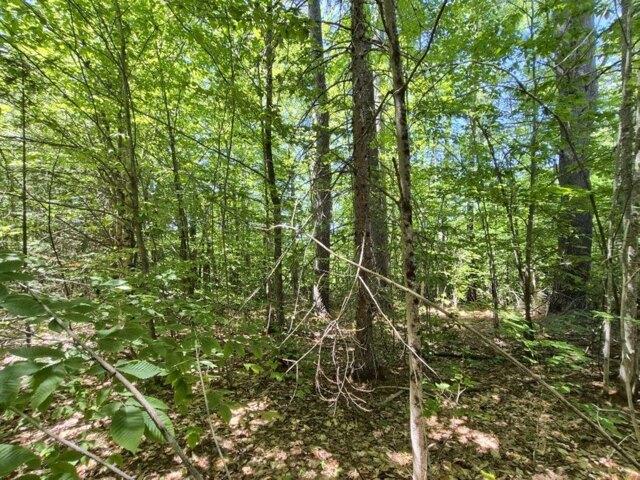 Mu Lb Holley Rd, Farmington, Plot For Sale