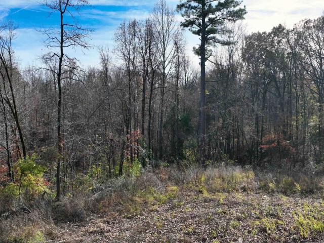 Munford giltedge rd