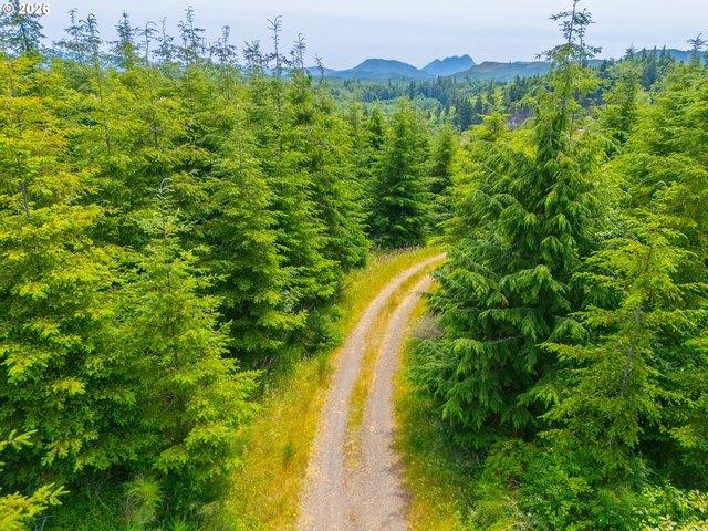 Mudd Ln, Astoria, OR 97103