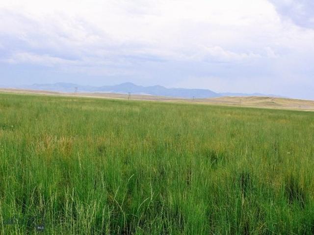 Muddy Creek Rnch, Cascade, MT 59421