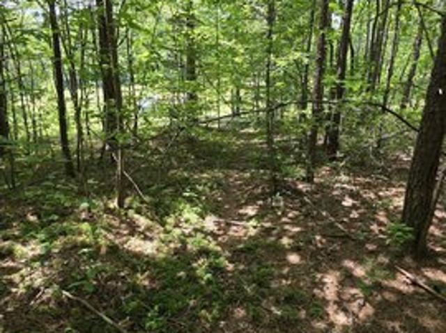 Muddy Ridge Rd Lot 11, Louisa, KY 41230