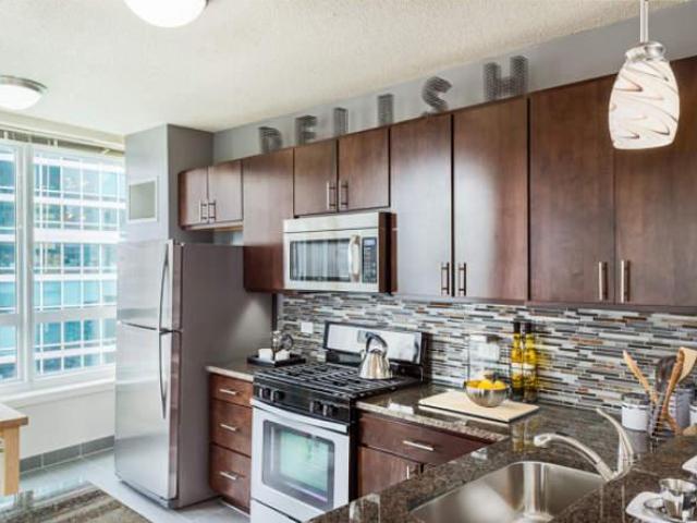 multi family 1 bedroom, Chicago IL 60611 DS85783750