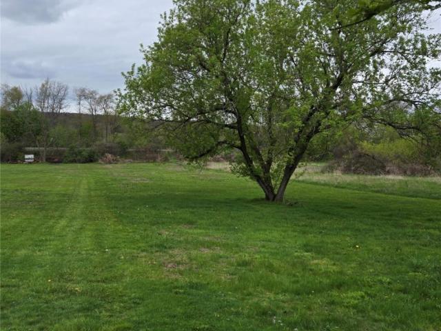multi family Endicott NY DS101773723