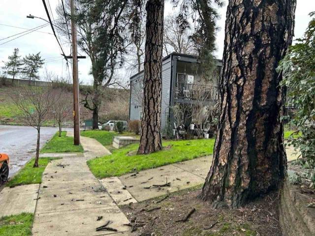 Multnomah Manor MMA 1 Bedroom Apartment for Rent at 9110 Ne Hassalo St, Portland, OR 97220 Montavilla