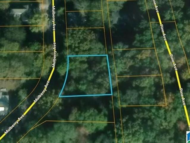 Mulberry Ave, Anniston, AL 36201