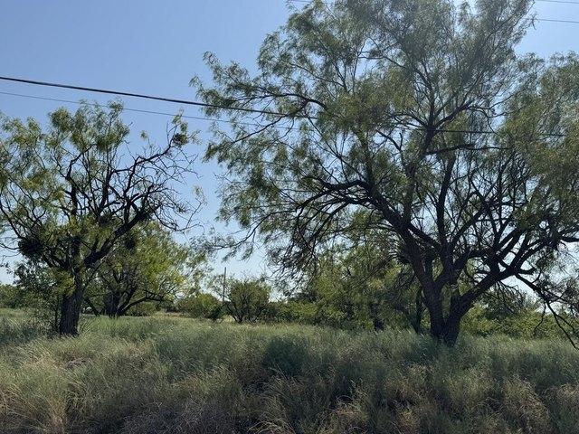 Mulberry, Colorado City, TX 79512