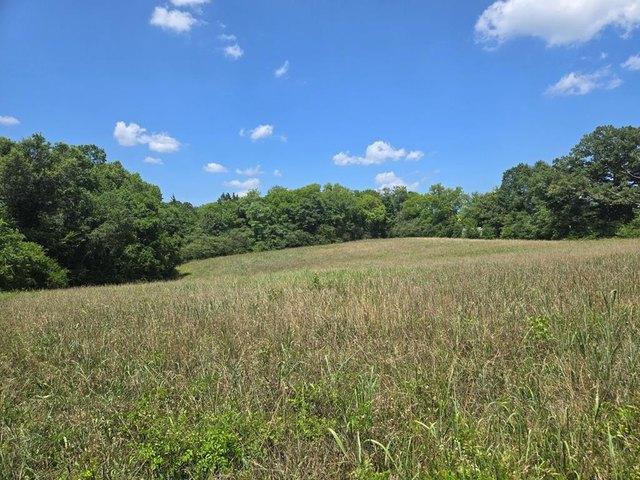Mulberry Hl Lot 1, Randolph, VA 23962