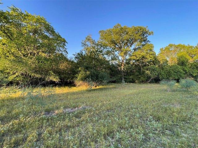 Mule Creek Rd, Harwood, TX 78632