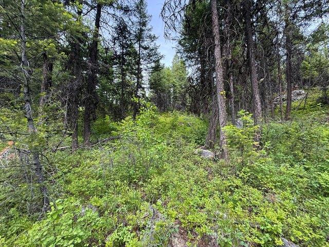 Mule Deer Rd Lot Sw, Republic, WA 99166