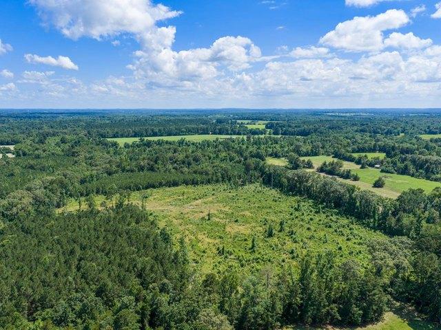 Mule Deer Rd, Pittsburg, TX 75686