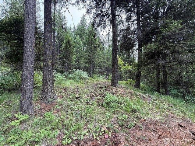 Mule Deer Rd, Republic, WA 99166
