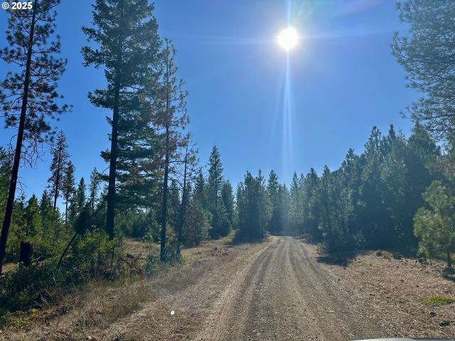 Mule Run RD # 13