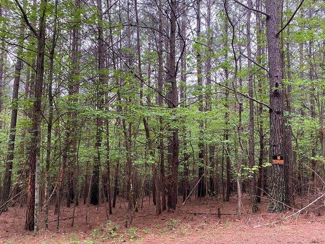 Mull Dr, Mineral Bluff, GA 30559