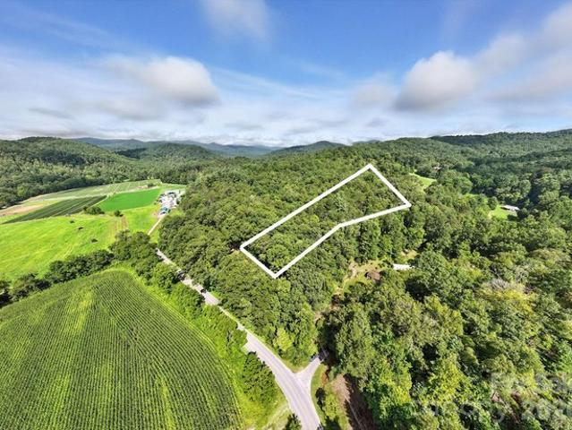 Mullinax Cove Rd, Mills River, NC 28759
