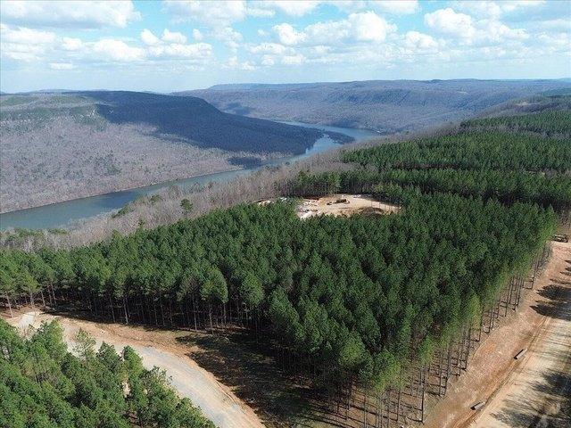 Mullins Pt, Guild, TN 37340