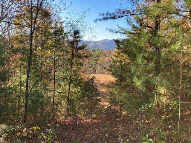 Murphy, Cherokee County, NC Undeveloped Land, Homesites for sa.