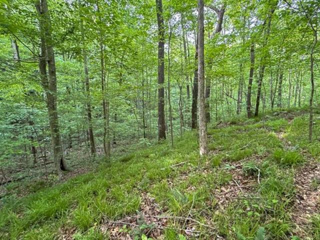 Murphy Holw, Trenton, GA 30752