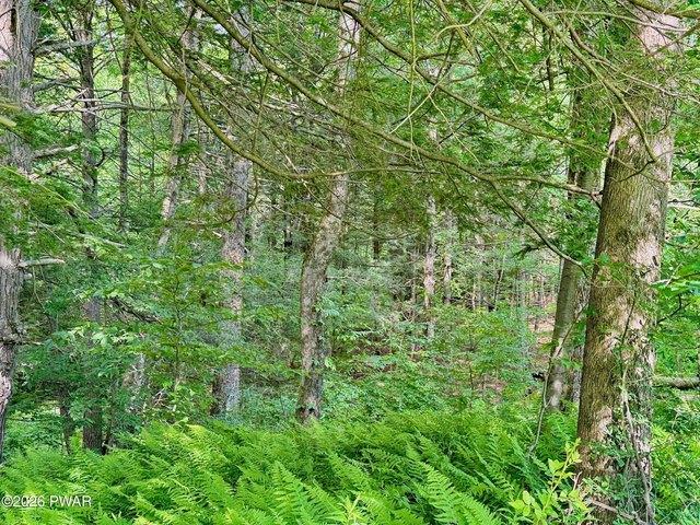 Murphy Hill Rd, Pleasant Mount, PA 18453