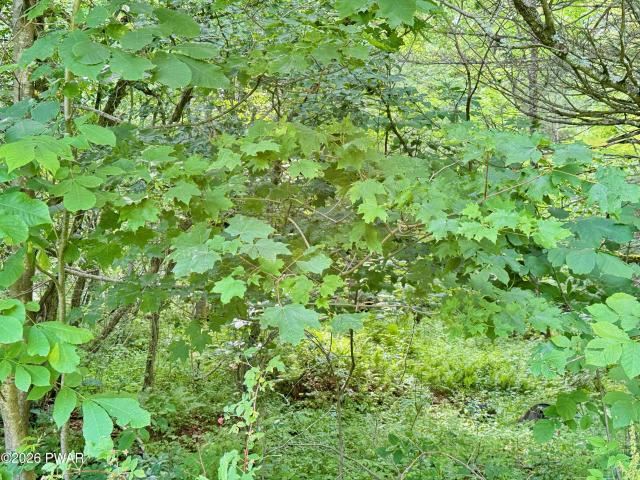 Murphy Hill Road