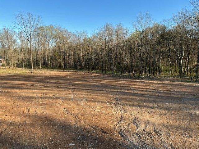 Murphy Ln, Culleoka, TN 38451