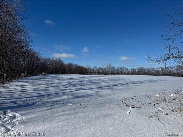 Murphy Lake Rd Parcel C, Watertown Township, MI 48744