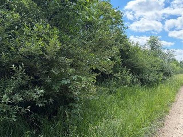 Murphy Lk, Rich Township, MI 48760