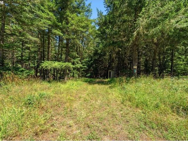 Mustang Dr, Oakland, OR 97462