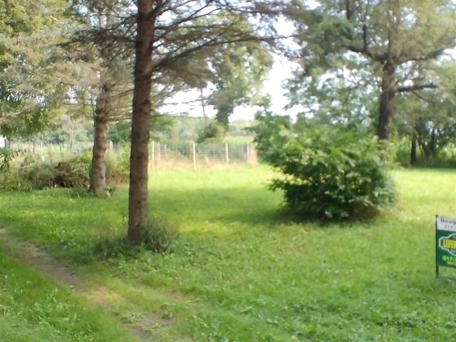 Musbach Road