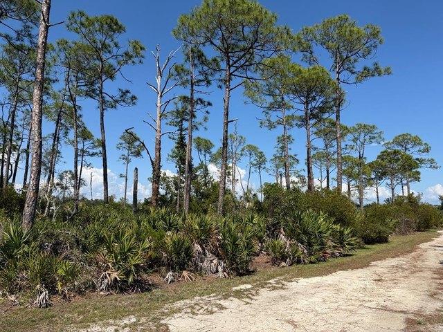 Museum Dr, Cedar Key, FL 32625