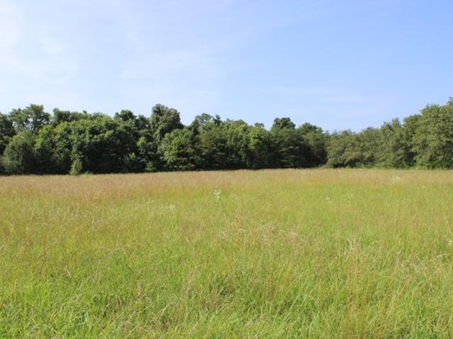 Myers Cove Rd, McMinnville, TN 37110