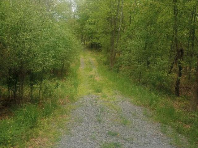 Myers rd westtown ny 10 Myers Rd, Westtown, NY 10998 | MLS #925187