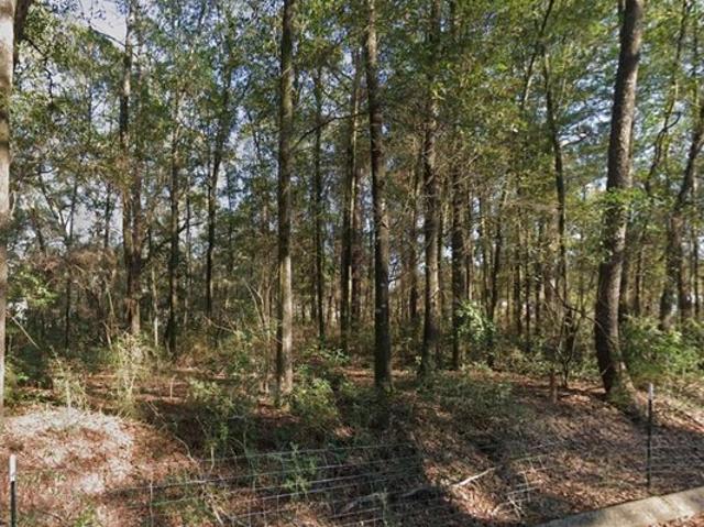 Myrtle St Lot 62, Level Plains, AL 36322