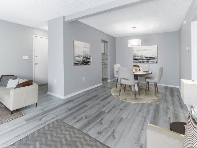 Mystic Bay Apartments 1 Bedroom Apartment for Rent at 600 Starkey Rd, Largo, FL 33771