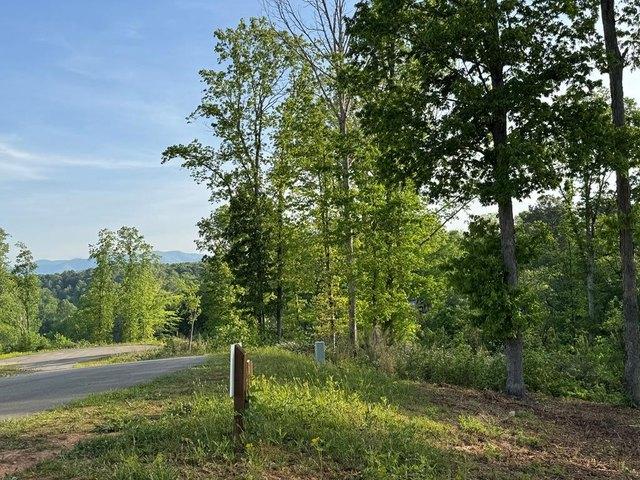 Mystic Dr Lot 8, Ellijay, GA 30540
