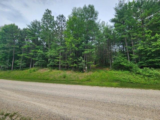 N11866 Menominee Shores Dr, Wausaukee, WI 54177