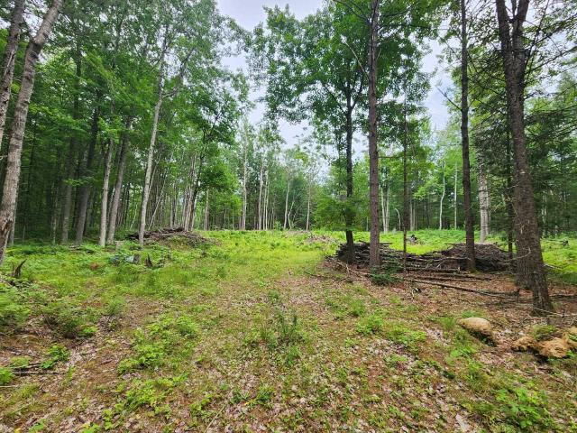N11866 menominee shores drive