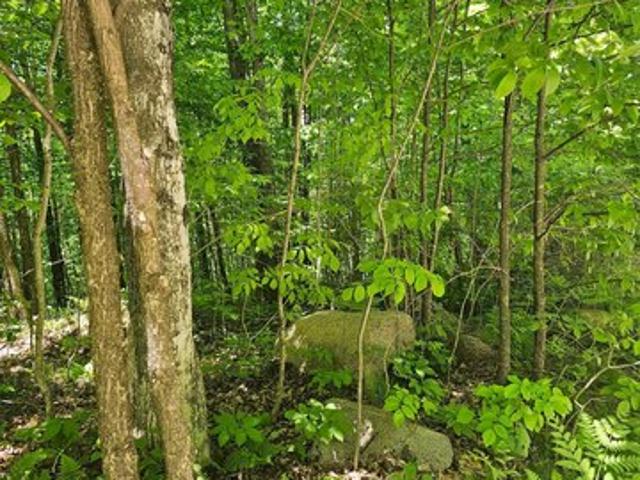 N12379 Red Rock Rd, Silver Cliff, WI 54104