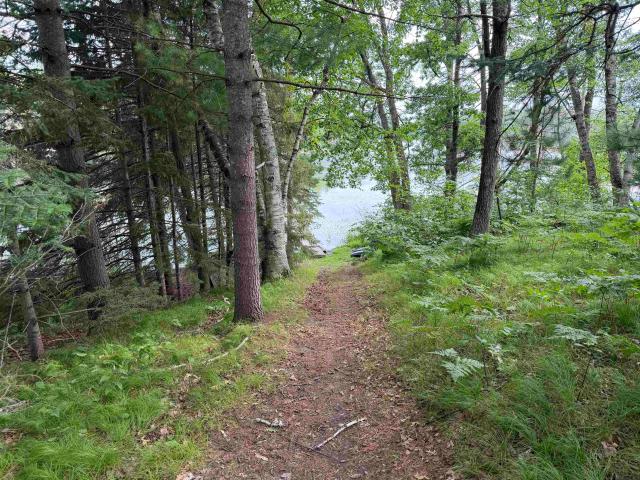 N15066 bolander landing road