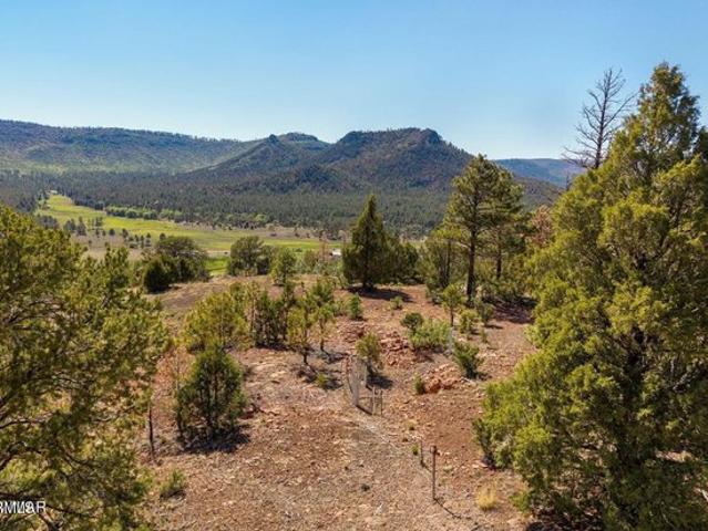N2280 Noble Mountain Est Unit 47, Nutrioso, AZ 85932