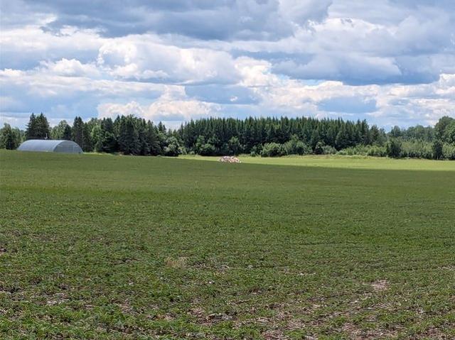 N4180 Wilderness Rd, Glen Flora, WI 54526
