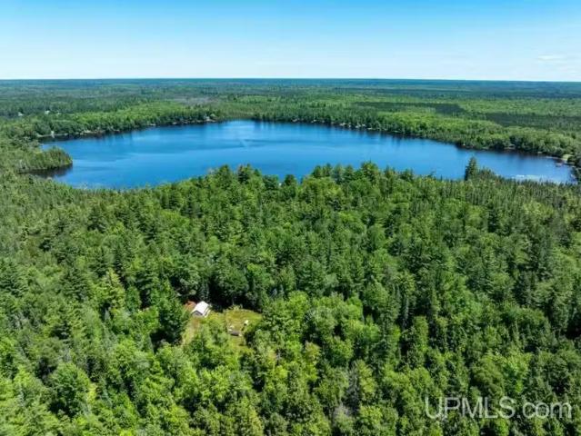 n6415 COOKS LAKE, MUNISING, MI 49862 Single Family Residence F.
